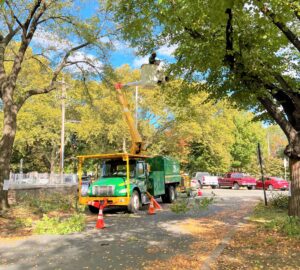 The Sports Complex Special Services District | South Philadelphia